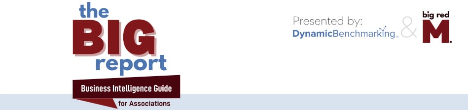 Business Intelligence Guide for Associations: The BIG REPORT